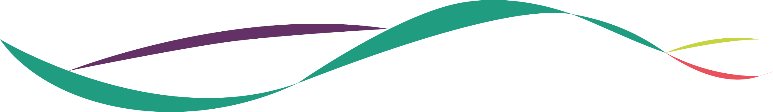 Private Services – International - Morelife UK