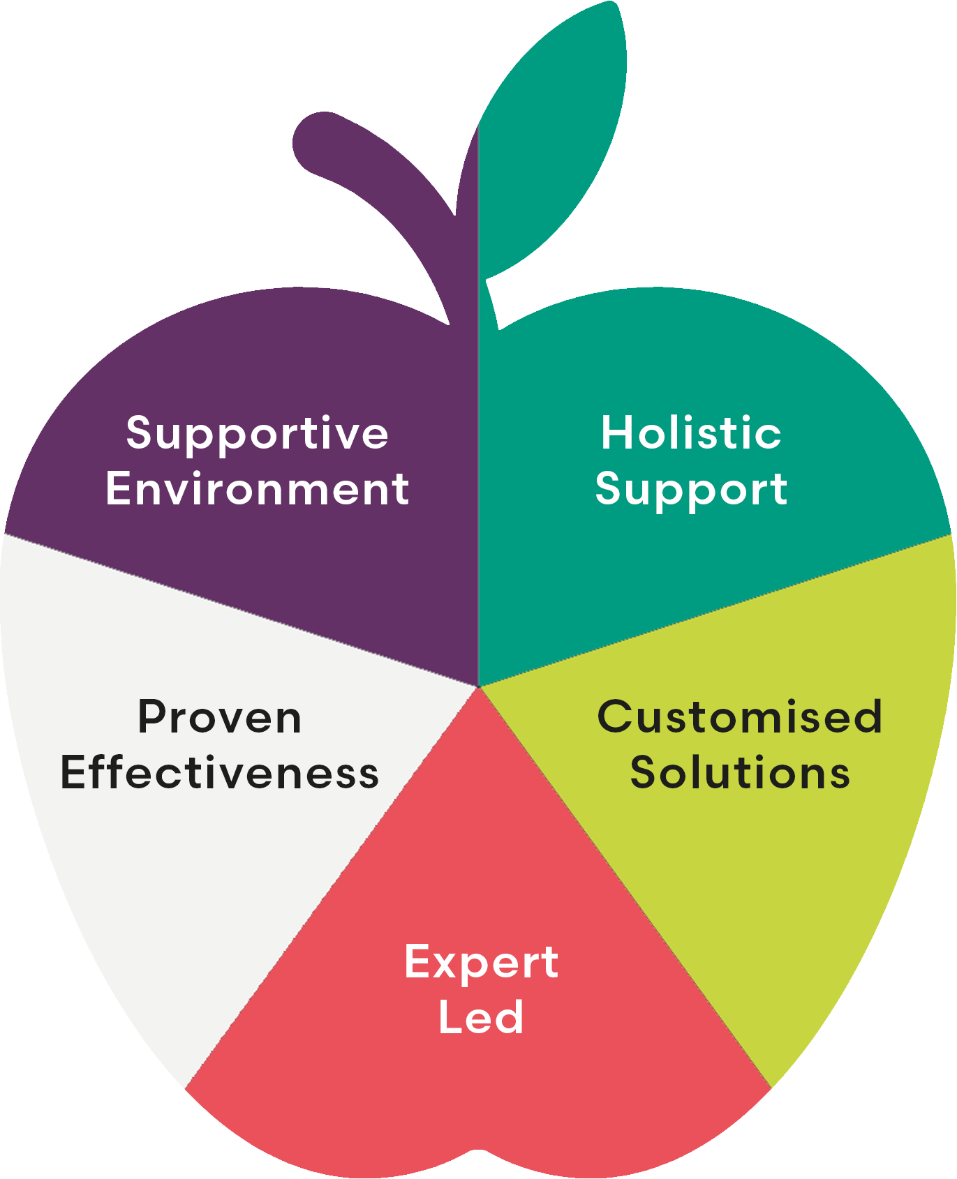 Schools Healthy Lifestyle Programme - Morelife UK