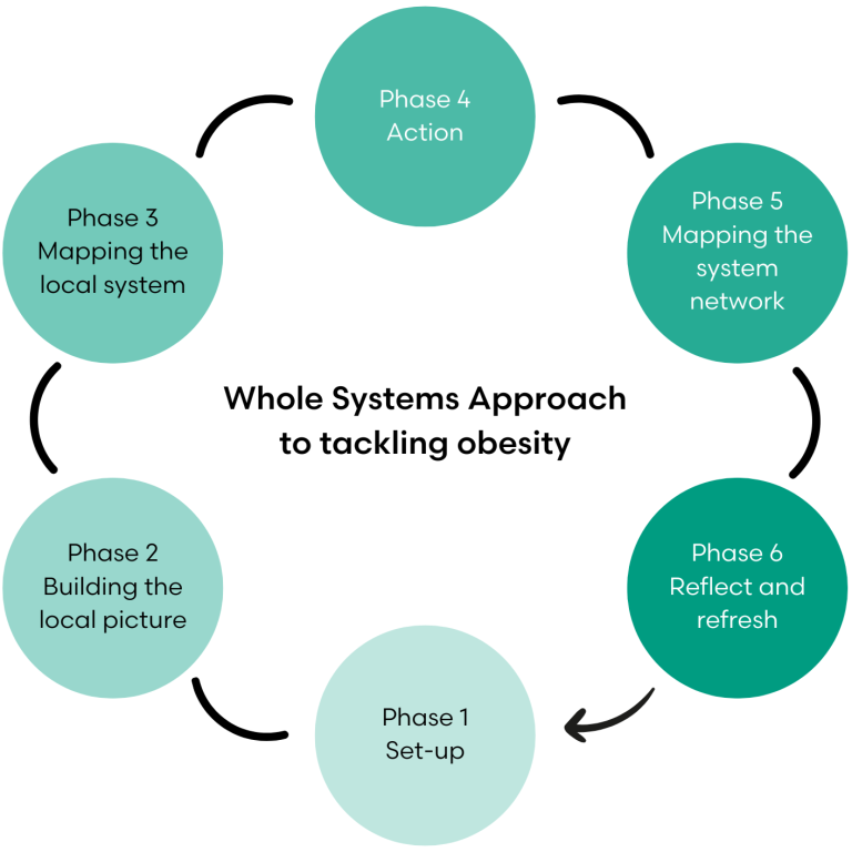 Whole Systems Approach to Obesity - Morelife UK